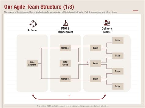 Our Agile Team Structure Exec Sponsor Ppt Powerpoint Presentation Infographics Tips