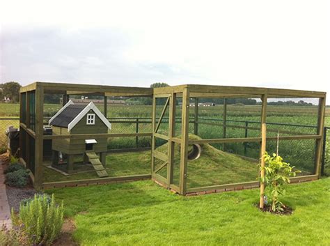 Konijn Dierenartsencentrum De Bosberg