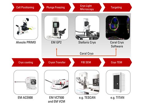 A Guide To Cryo Electron Tomography Learn And Share Leica Microsystems