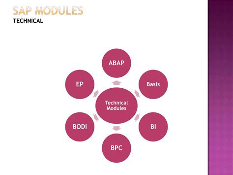Sap Audit Basic Pptx