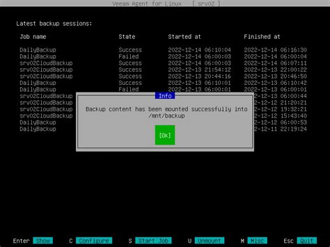 Step 2 Select Backup And Restore Point Veeam Agent For Linux User Guide