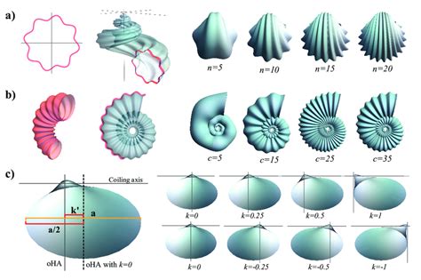 Graphic Representation Of The Additional Parameters A Parameter N