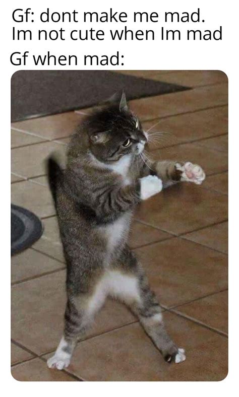 Fight Me R Memes