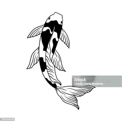 잉어 물고기 아이콘 디자인 템플릿 일러스트 레이 션 벡터 로고에 대한 스톡 벡터 아트 및 기타 이미지 로고 일본 강 Istock