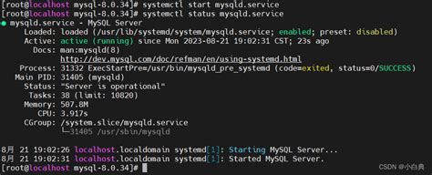centos stream 9中安装mysql的详细步骤 小白典 博客园