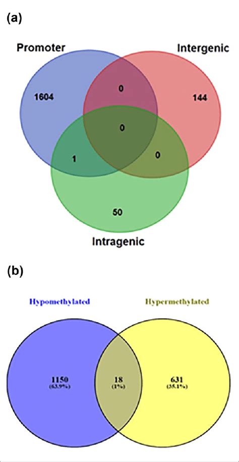 Differentially Methylated Regions Dmrs Were Identified Using The Download Scientific Diagram