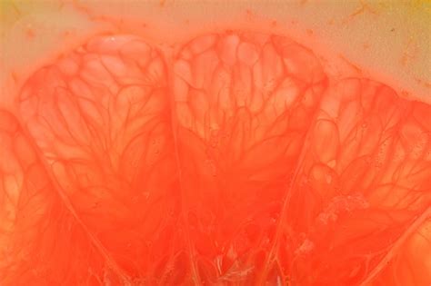 자몽 클로즈업 피 붉은 익은 자몽 조각 붉은 육즙이 많은 자몽의 질감 매크로 이미지 기포에 대한 스톡 사진 및 기타 이미지 기포 오렌지 감귤류 과일 패턴 Istock