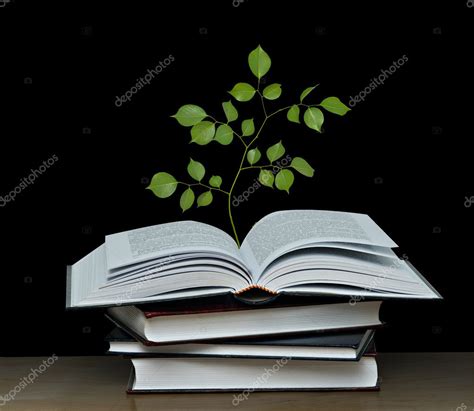 Tree Growing From Open Book Stock Photo Vaeenma 9709361