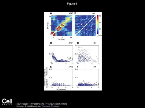 Reduction Of Information Redundancy In The Ascending Auditory Pathway Ppt Download