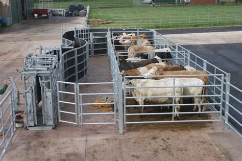Cattle Handling Systems Design Design Talk