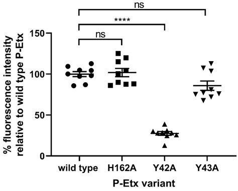 Toxins Free Full Text Interaction Of Clostridium Perfringens Epsilon Toxin With The Plasma