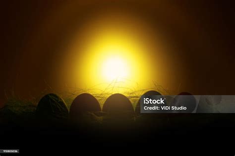 5 다채로운 파스텔 모노 전통적인 그린된 부활절 달걀의 검은 그림자 실루엣 빛과 어두운 노란색 배경에 녹색 잔디에 행 광고에 대 한 공간을 복사 합니다 텍스트에 대 한 장소