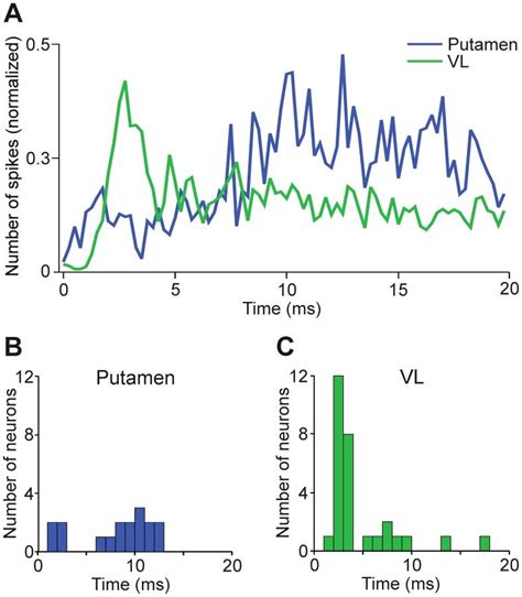 A Occurrence Of Spikes Normalized To The Maximal Number Of Spikes In Download Scientific