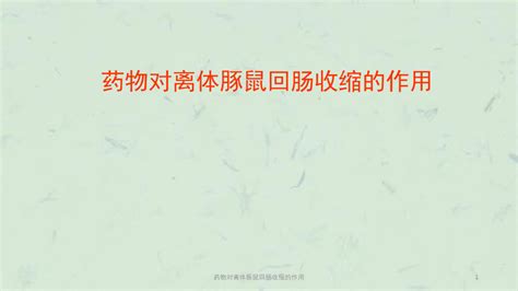 药物对离体豚鼠回肠收缩的作用课件 文档之家