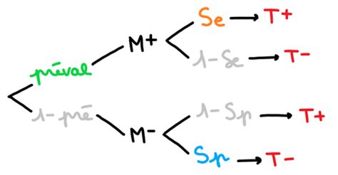 Biostats Test Diagnostique Cartes Quizlet