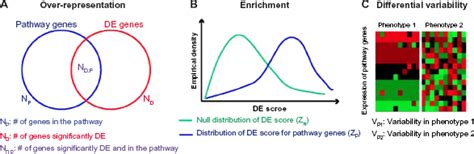 Pathway Analysis Methodologies From Gene Expression A Download