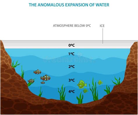 Anomalous Expansion Stock Illustrations 3 Anomalous Expansion Stock