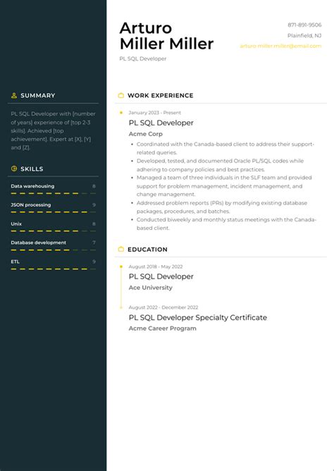 3 Pl Sql Developer Resume Examples And Templates