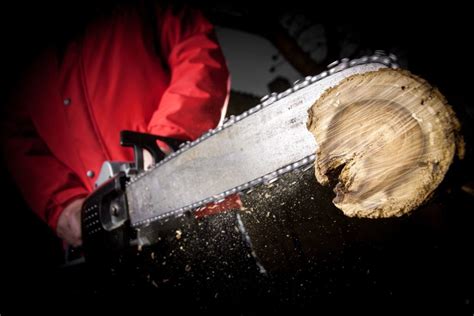 How To Choose The Right Stihl Chainsaw TipsfromTia Com