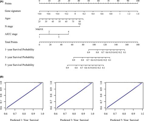 Building And Validation Of A Prognostic Nomogram A Nomogram Based On Download Scientific