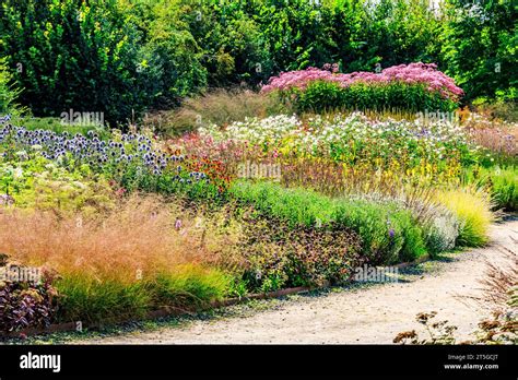 Colourful Summer Borders In The Garden Created By Renowned Dutch Designer Piet Oudolf At The
