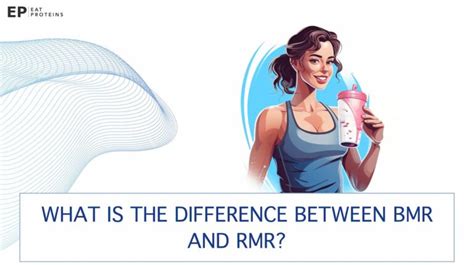 Bmr Basal Metabolic Rate Definition Function And Importance