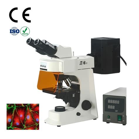 Low Cost Fluorescence Microscope For 12v 100w Microscope Lighting Bulb Low Cost Fluorescence