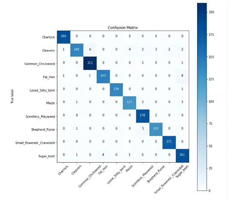 A Faster R CNN Based Model For The Identification Of Weed Seedling