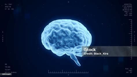인간의 뇌 의료 진단 인터페이스 미래 지향적 인 Ct 스캔 홀로그램 과학 및 연구 기술 Ai 컴퓨터 화면 3d 렌더링 3차원 형태에 대한 스톡 사진 및 기타 이미지 Istock