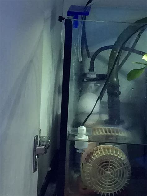 Super Easy Diy Float Switch Bracket Reef2reef