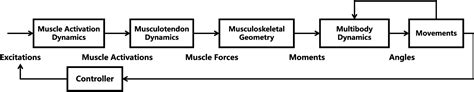 Figure 1 From A Hybrid Controller For Musculoskeletal Robots Targeting Lifting Tasks In