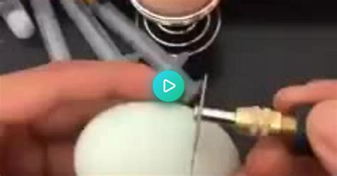 Injection Of Spermatozoa Into Egg Embryo Album On Imgur