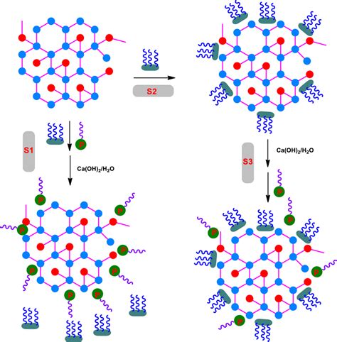 Possible Mechanism Of The Influence Of The Additional Sequence Of PCE Download Scientific