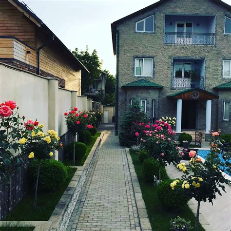 მირანდას ვარდები Facebook