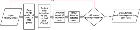 Flow Diagram Of Corn Row Identification Cri Algorithm To Detect Lines Download Scientific