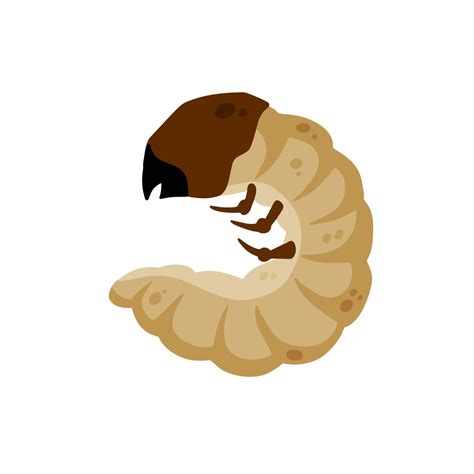Insect Larva White Caterpillar Little Worm Parasite Flat Cartoon