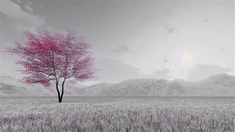 Dealing With Singleton In Ios A Single Singleton By Khoa Pham Indie Goodies Medium