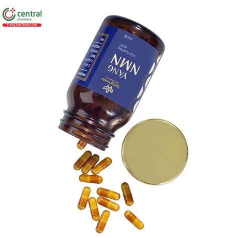 Thuốc Yang Nmn Giúp Tăng Cường Miễn Dịch Và Chống Lão Hoá Hiệu Quả