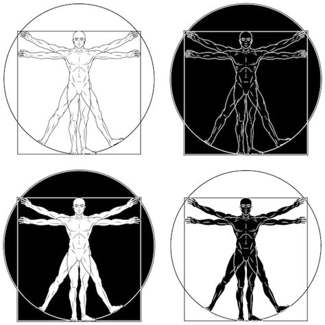 Premium Vector Vitruvian Man Vector Design