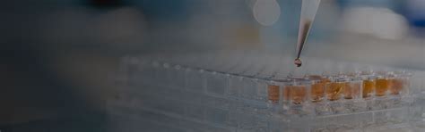 Recombinant Enzymes Recombination Enzymes Used In Recombinant Dna Technology Gene Biocon