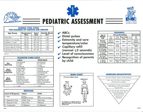 Pediatric Assessment Sheet Download Printable Pdf Templateroller