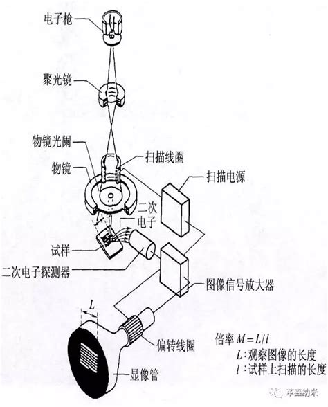 扫描电镜 SEM 的原理和注意事项