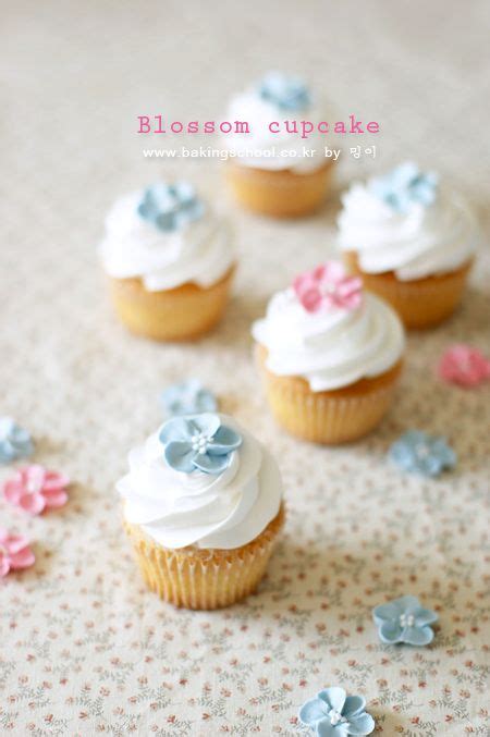 블로썸 바닐라 컵케익생크림데코 베이킹스쿨교훈배워서남주자 케이크 데코레이션 강좌 케이크 데코레이션 쿠키 데코레이션