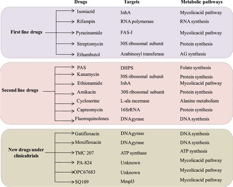 Representation Of First Line Second Line And New Drugs Under Clinical