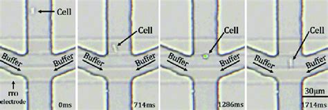 Single Cell Traprelease By Pdep Using A Single Pair Of Electrodes