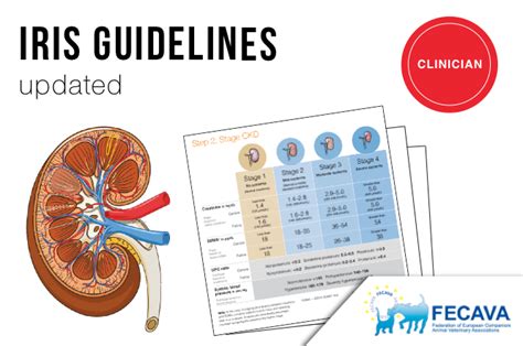 Iris Guidelines Updated Fecava