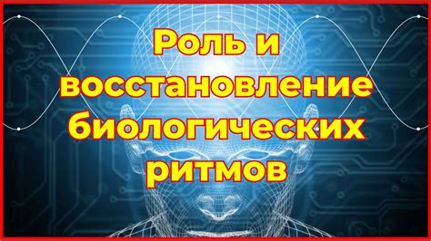 Роль и восстановление биологических ритмов Youtube