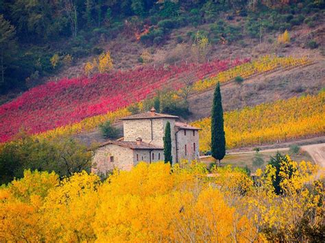 Chianti Tuscany Italy Autumn Landscape Beautiful Landscapes Landscape
