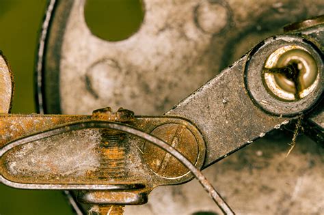 Macro Work Part 2 On Behance