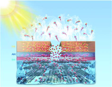 Schematic Diagram Of Water Evaporation On The Gpm Surface With Water Download Scientific
